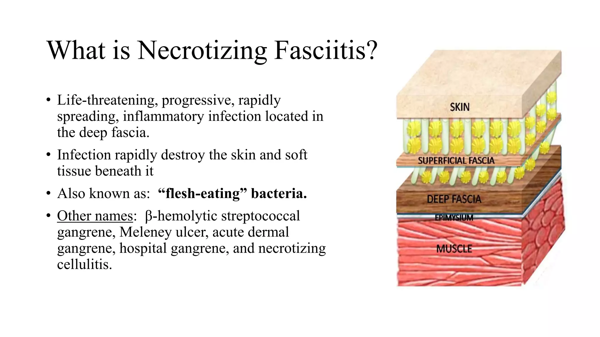 Necrotizing fascitis | PPTX