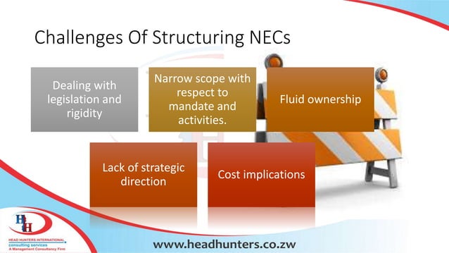 Nec systems and structure | PPTX