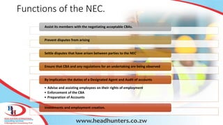 Nec systems and structure | PPTX