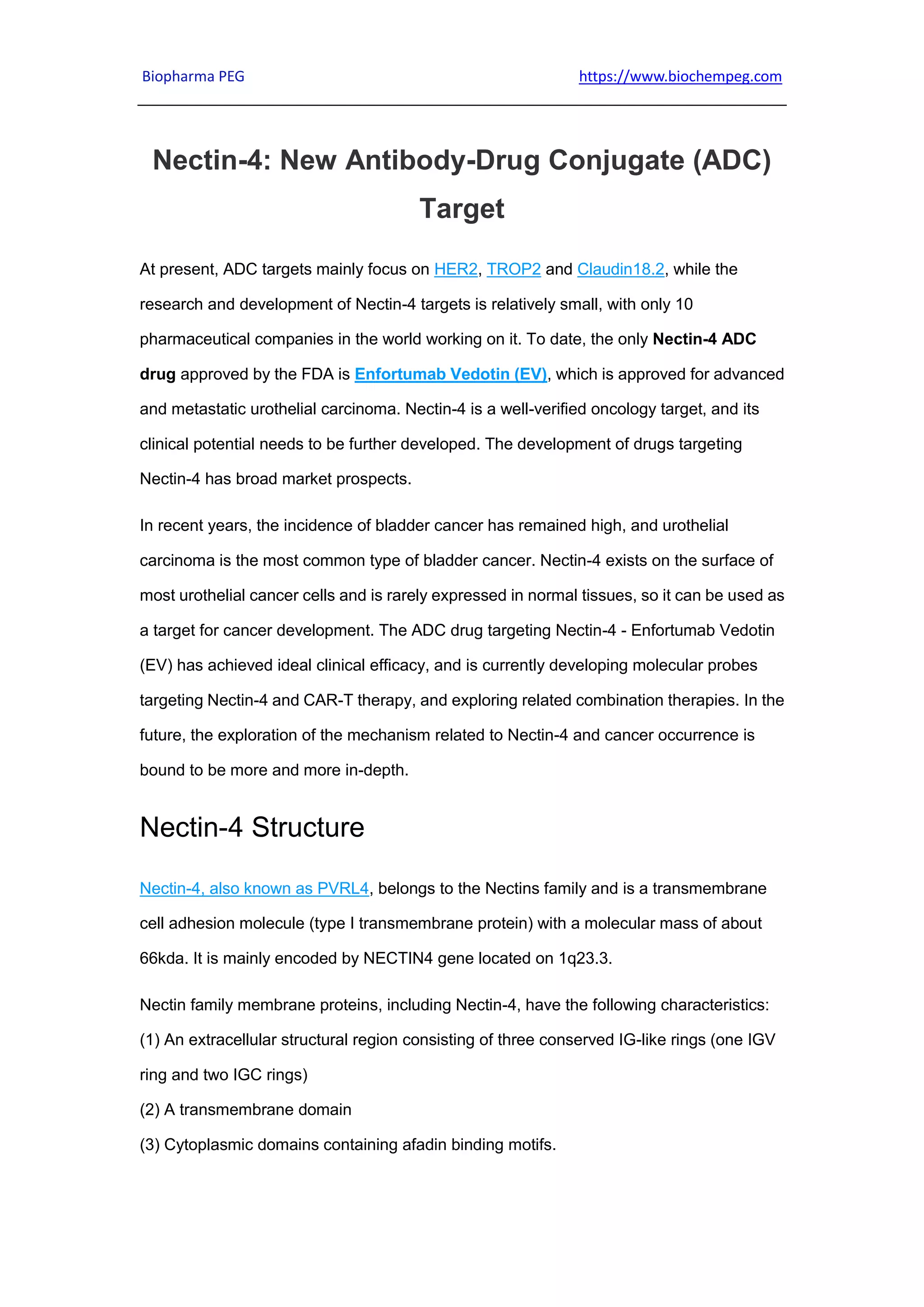 Nectin-4 New Antibody-Drug Conjugate (ADC) Target.pdf