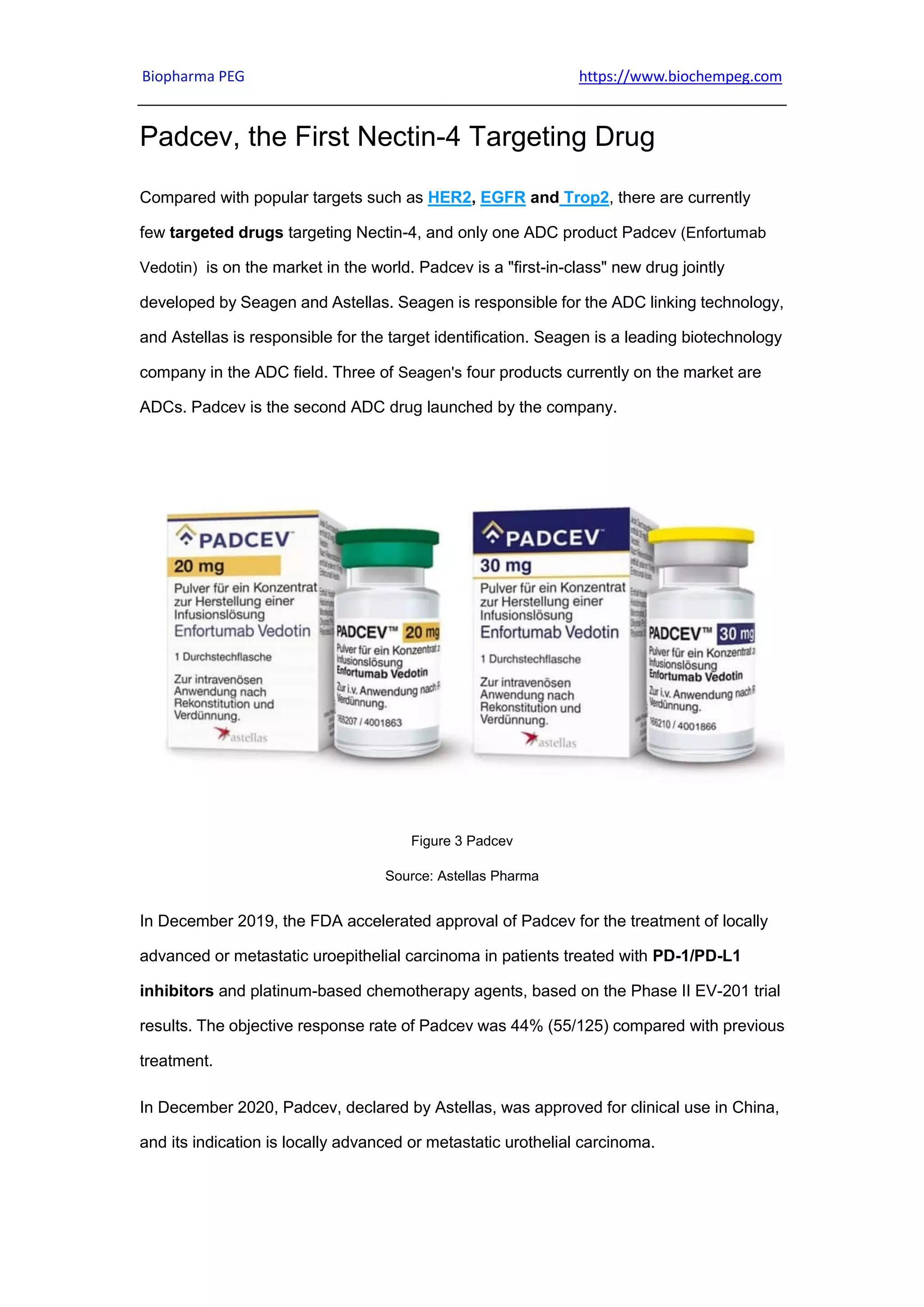 Nectin-4 New Antibody-Drug Conjugate (ADC) Target.pdf