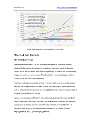 Nectin-4 New Antibody-Drug Conjugate (ADC) Target.pdf