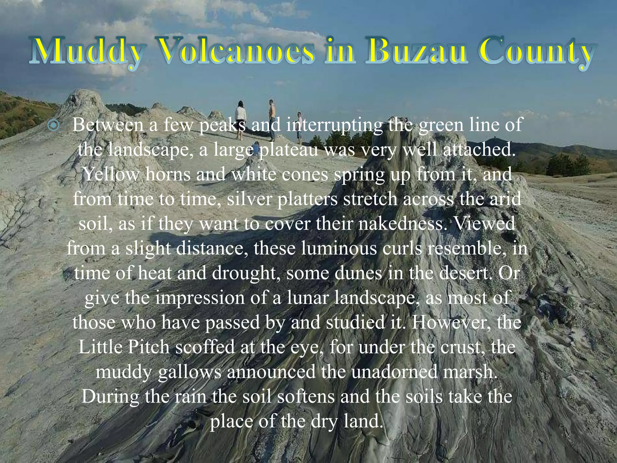 Necula nicolae | PPT