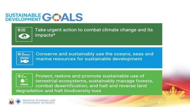 NEDA -Edited Briefing on PDP_RDP 8817.ppt