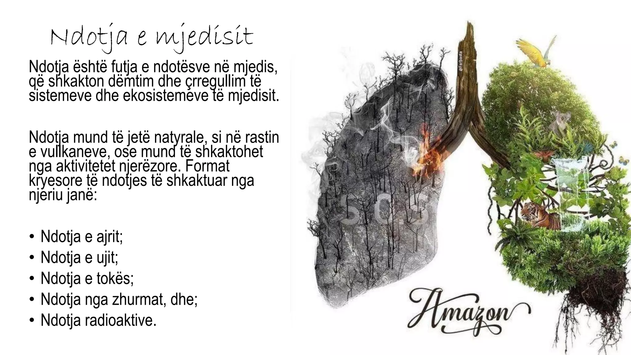 Ne dhe mjedisi! | PDF