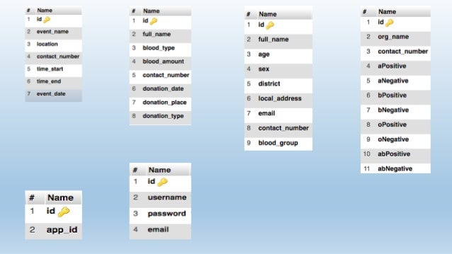 BSCCSIT FINAL YEAR PRESENTATION | PPT