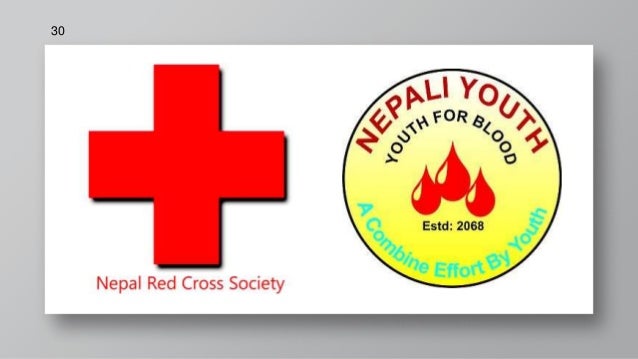 BSCCSIT FINAL YEAR PRESENTATION | PPT