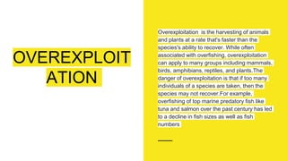 Need for conservation of forest and wildlife in an ecosystem | PPT