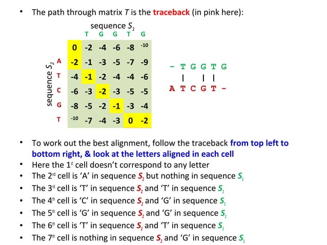 The Needleman Wunsch algorithm | PPT