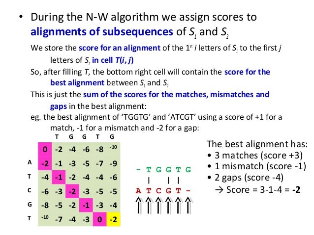 The Needleman Wunsch algorithm
