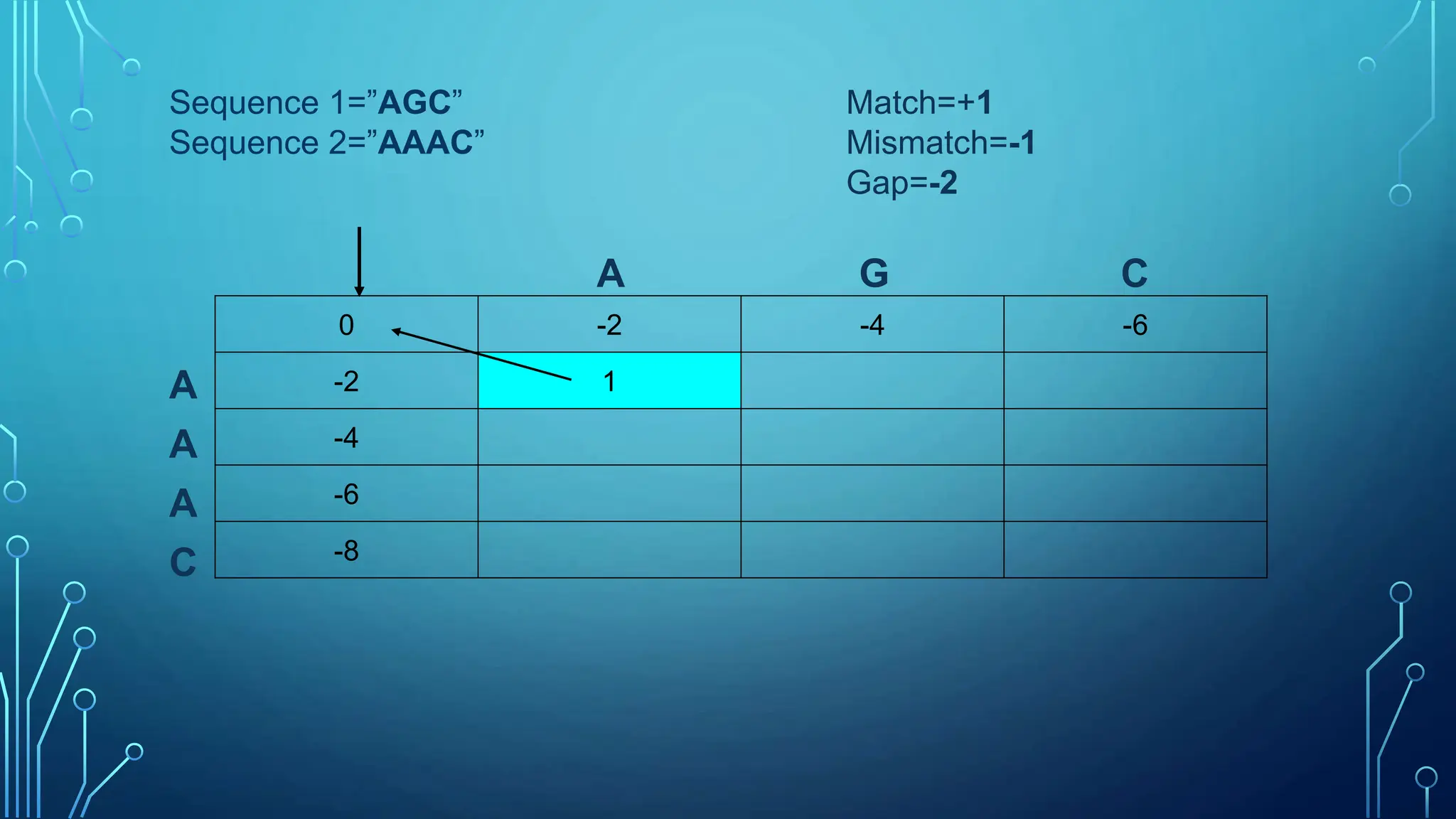 Needleman wunsch algorithm.pptx