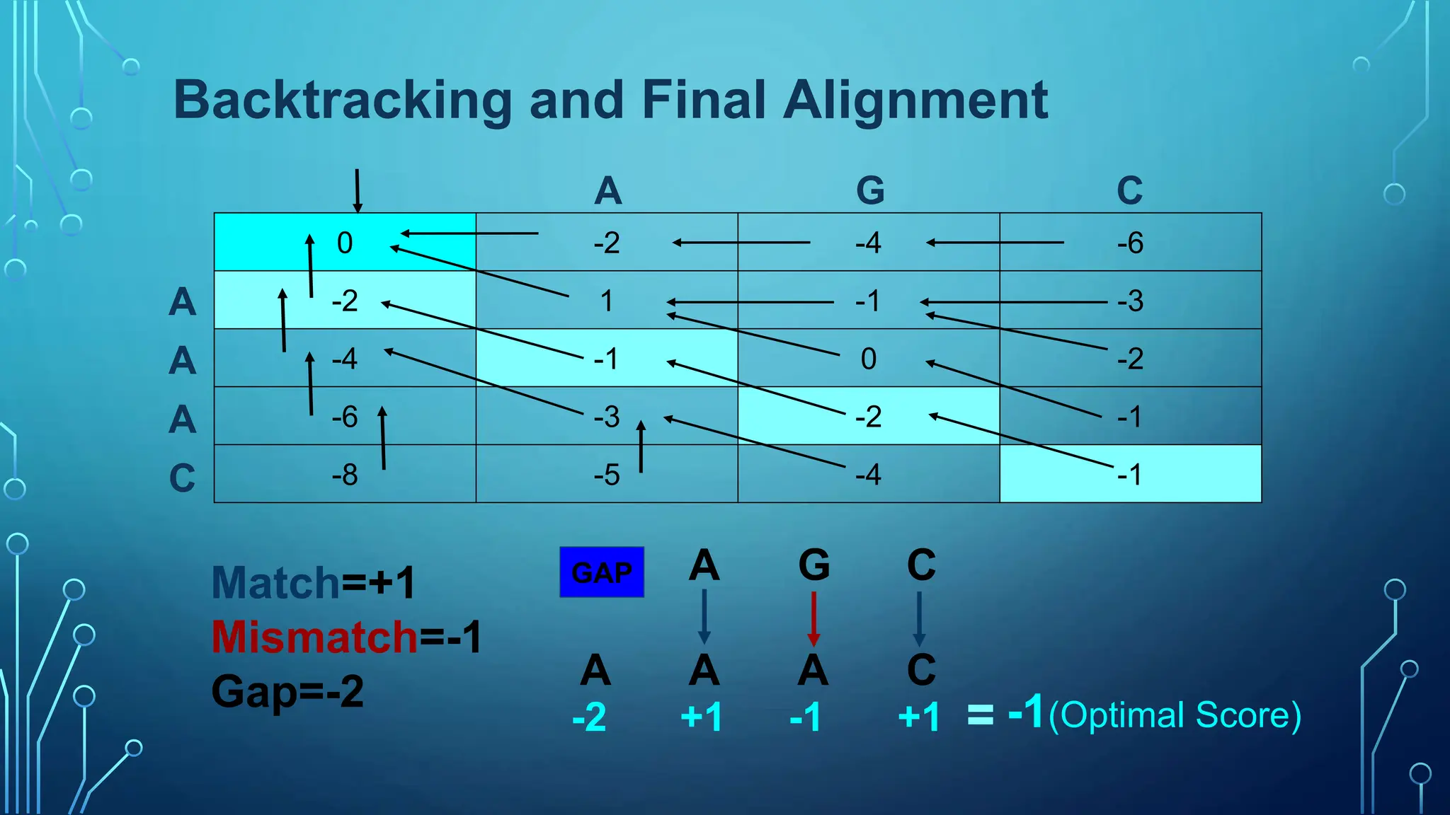Needleman wunsch algorithm.pptx