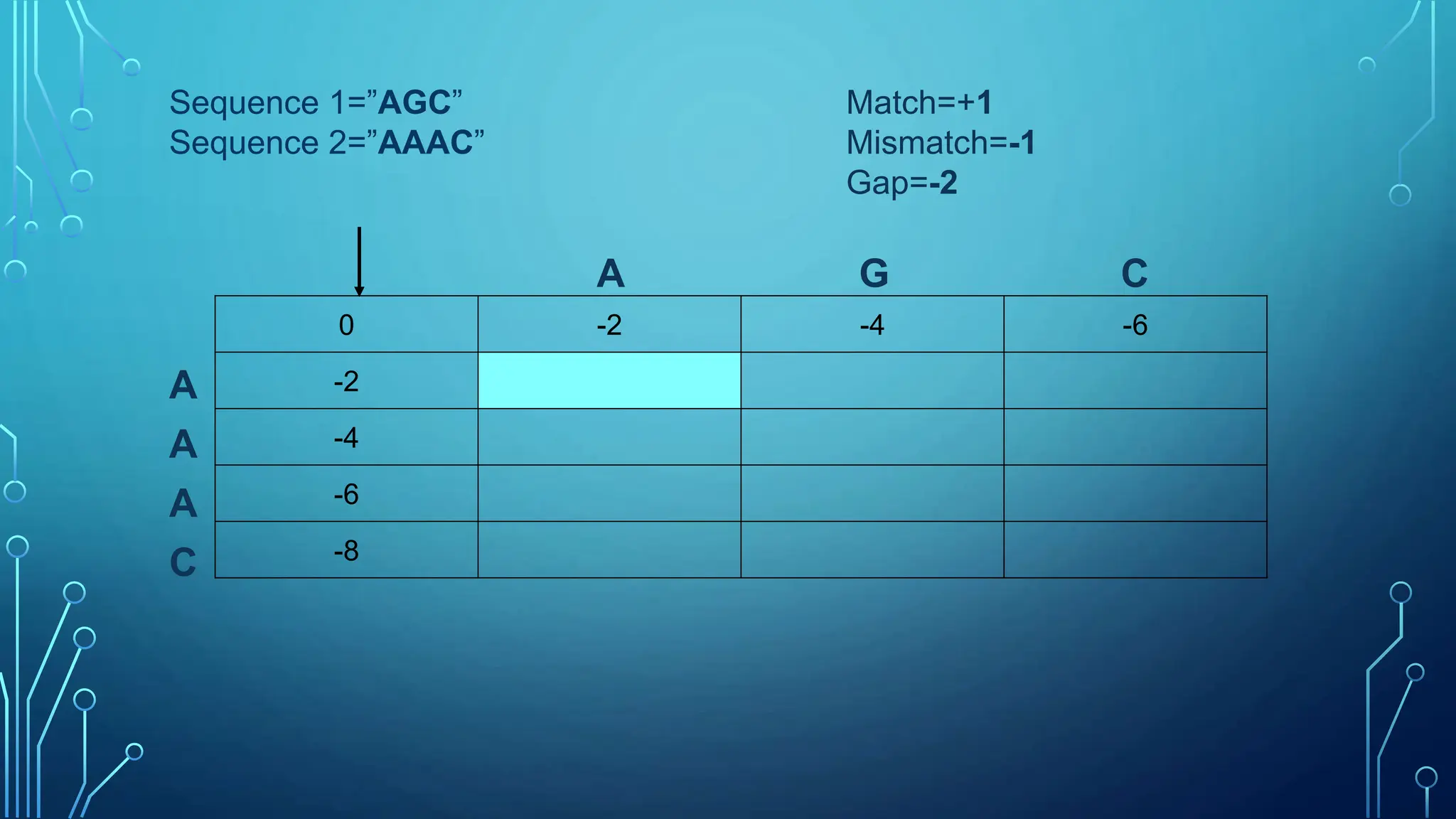 Needleman wunsch algorithm.pptx