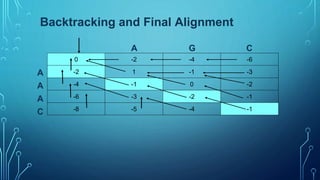 Needleman wunsch algorithm.pptx