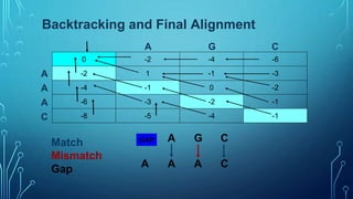 Needleman wunsch algorithm.pptx