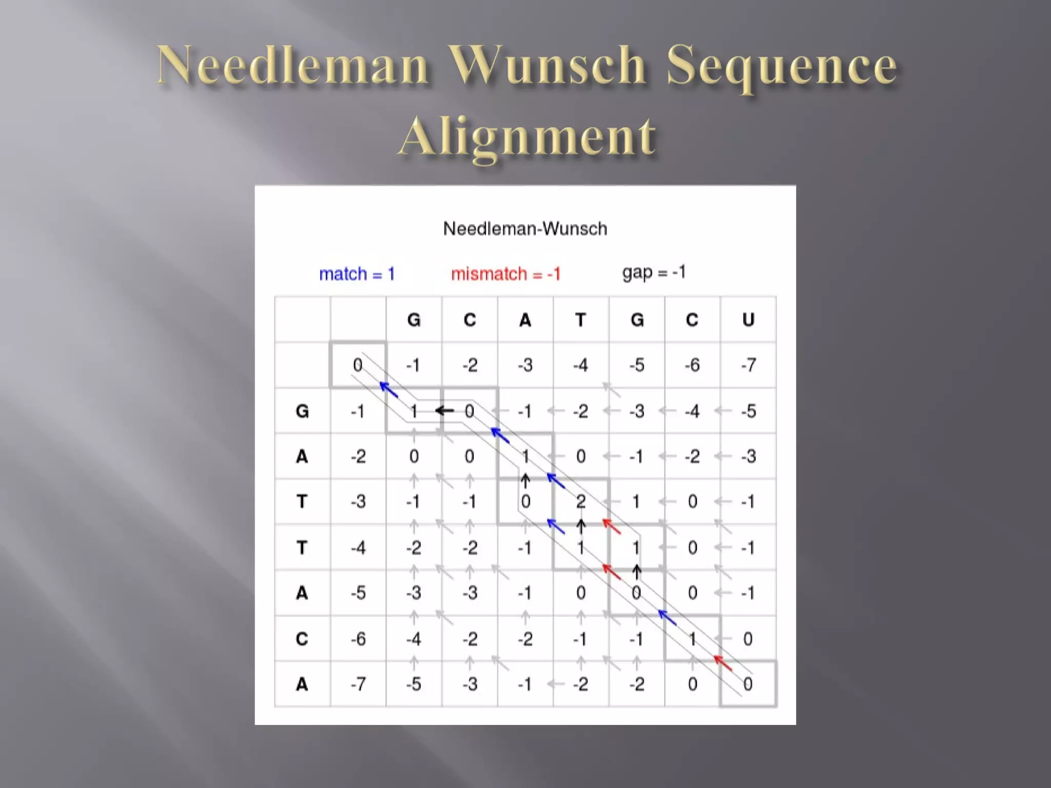 Needleman wunsch computional ppt | PPT