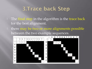 Needleman wunsch computional ppt | PPT