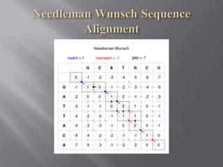 Needleman wunsch computional ppt | PPT