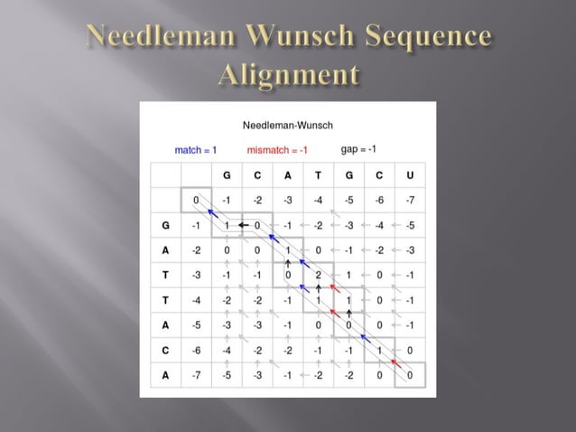 Needleman wunsch computional ppt | PPT