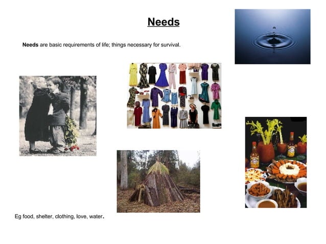 Needs And Wants | PPT