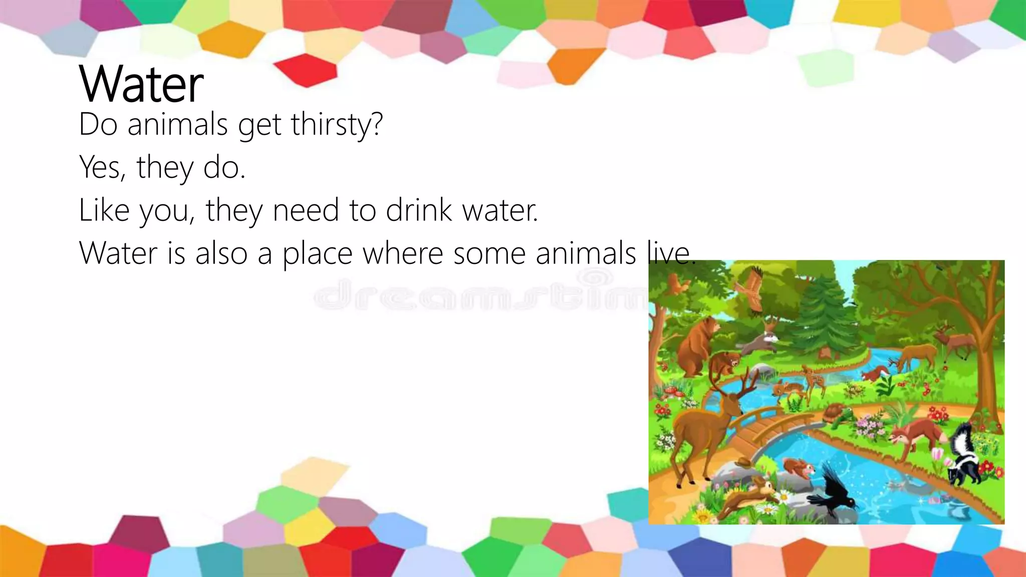 Needs of Animals | PPTX