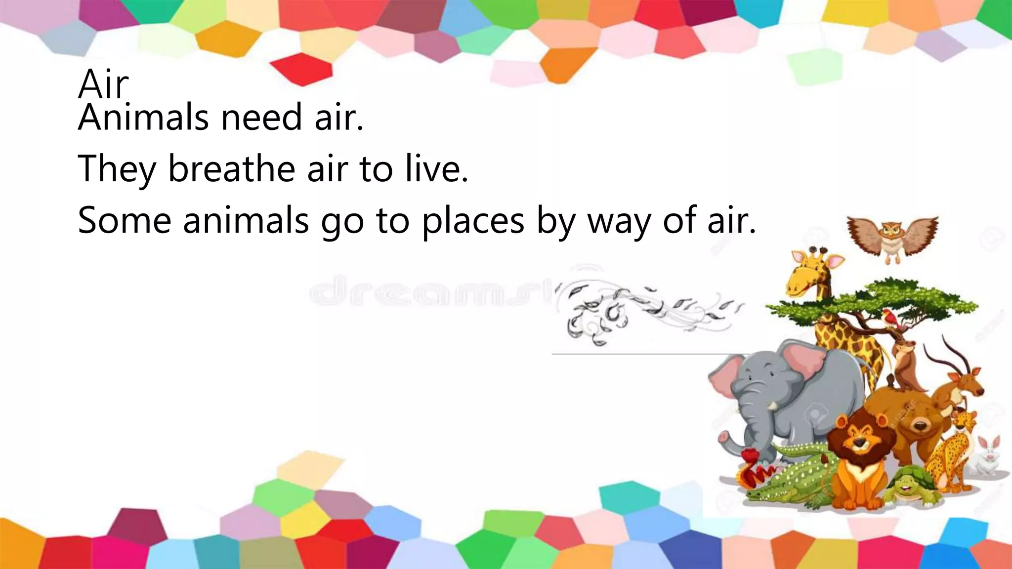 Needs of Animals | PPTX