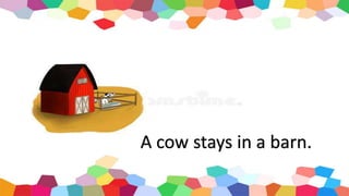 Needs of Animals | PPTX