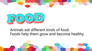 Needs of Animals | PPTX