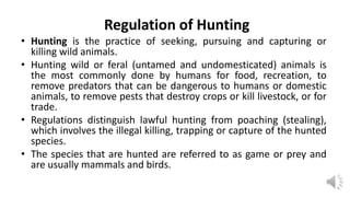 Needs of animals | PPT