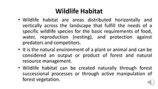 Needs of animals | PPT