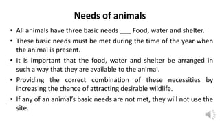 Needs of animals | PPTX