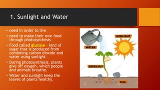 Needs of plants | PPT