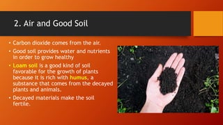Needs of plants | PPT
