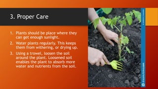 Needs of plants | PPTX