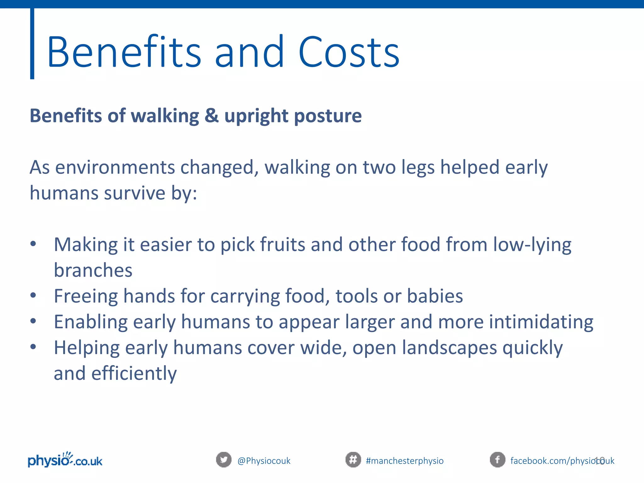 The "need to know" about posture and taping | PPTX