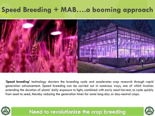 Need to revolutionize the crop breeding | PDF