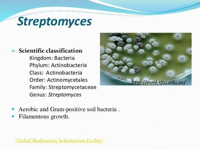 Systems biology and biotechnology of Streptomyces species for the pro…