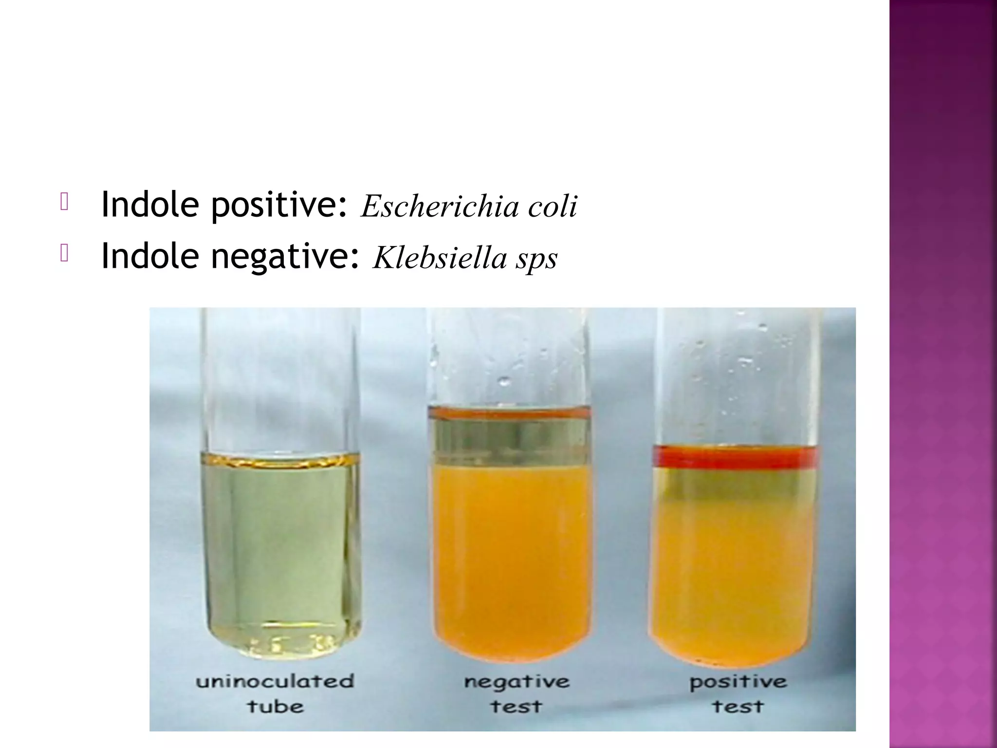 BIOCHEMICAL TESTS | PPT