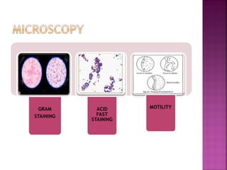 BIOCHEMICAL TESTS | PPT
