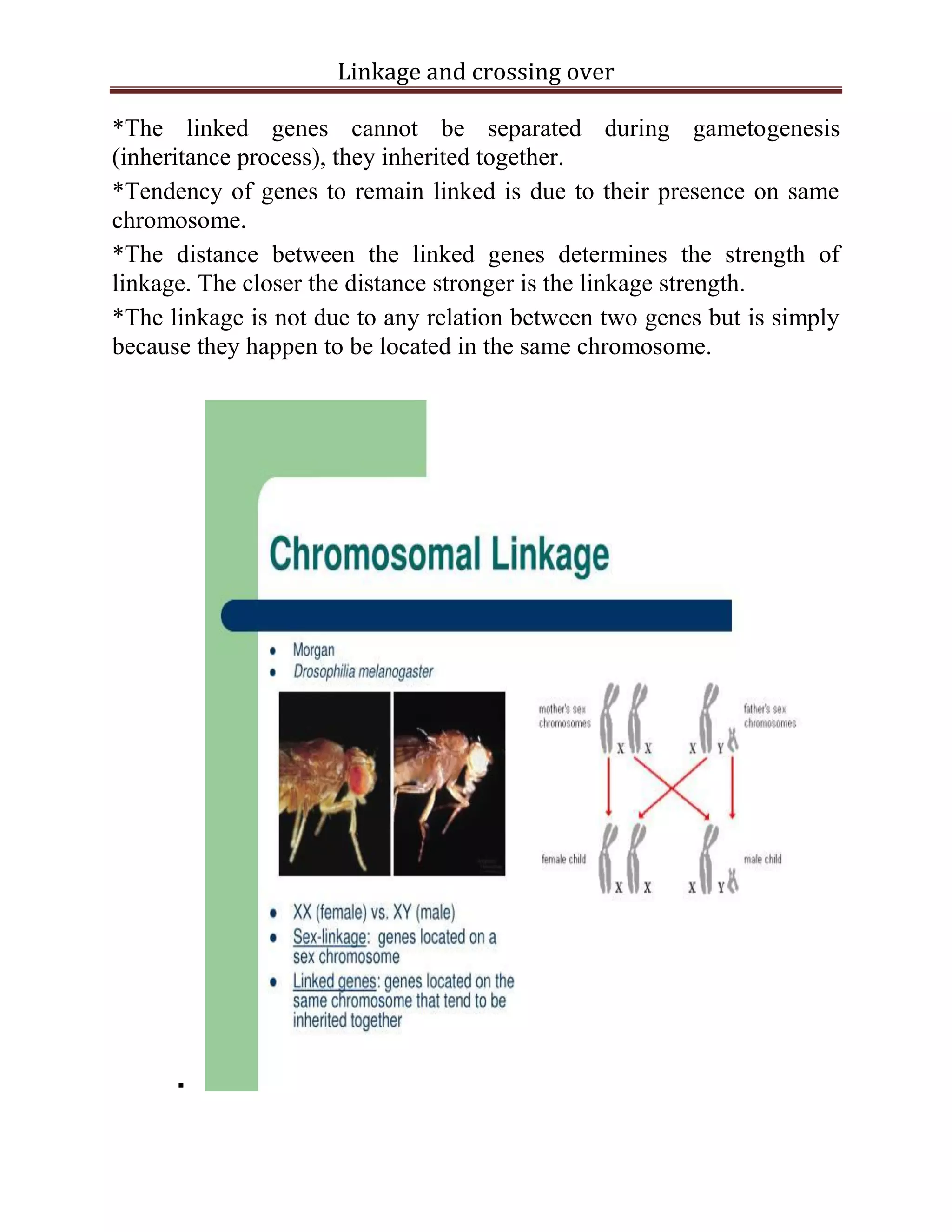 linkage and crossing over | PDF