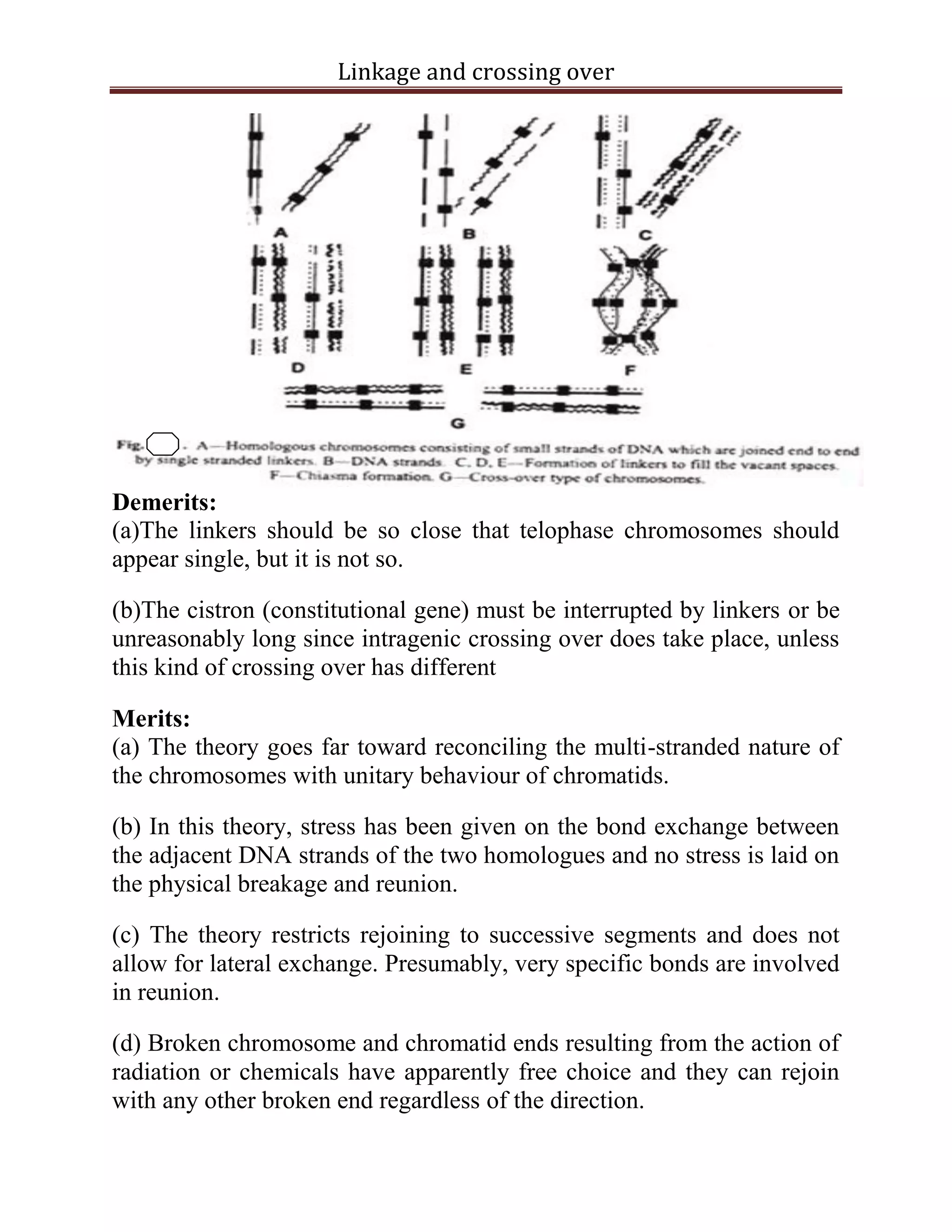 linkage and crossing over | PDF