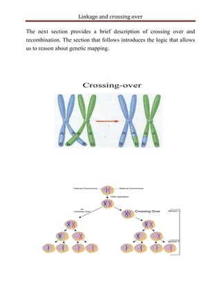 linkage and crossing over | PDF