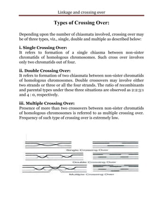 linkage and crossing over | PDF