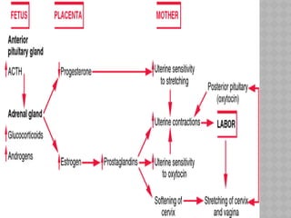 NORMAL LABOR PPT OBG AND GYENIC RASY TO2@# | PPTX