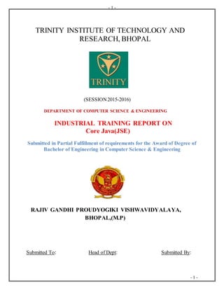 Neel training report | DOCX | Programming Languages | Computing