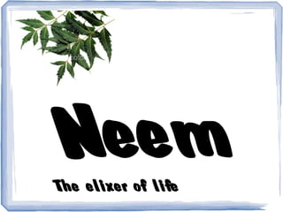 Neem | PPT