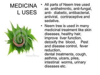 neem-170219180411.pptx