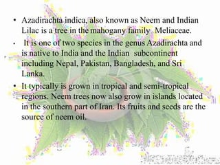 neem-170219180411.pptx