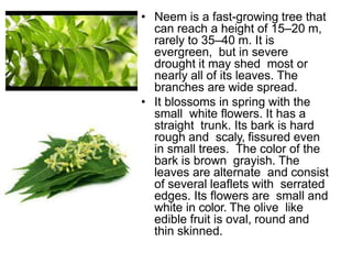 neem-170219180411.pptx