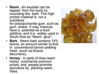 neem-170219180411.pptx